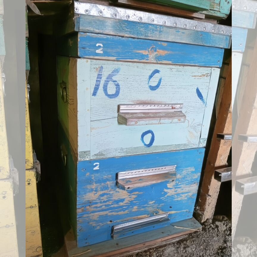 Продам ульи для пчел 12,16рамочные