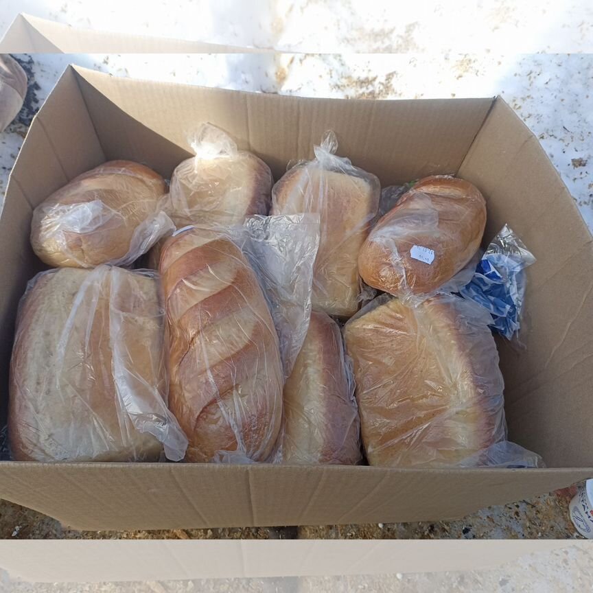 Хлеб на корм животным