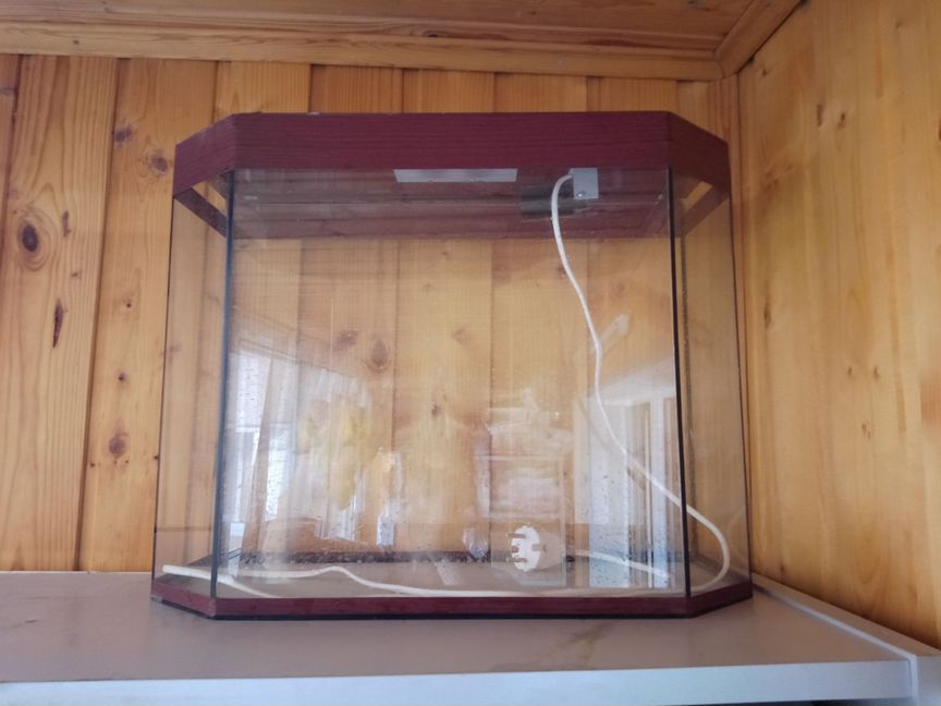 Аквариум стеклянный/террариум