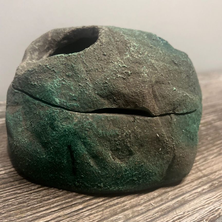 Влажная камера для рептилий