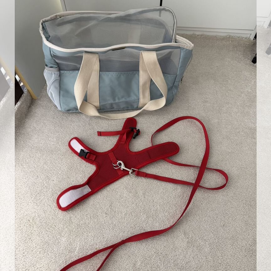 Переноска для кошек   шлейка