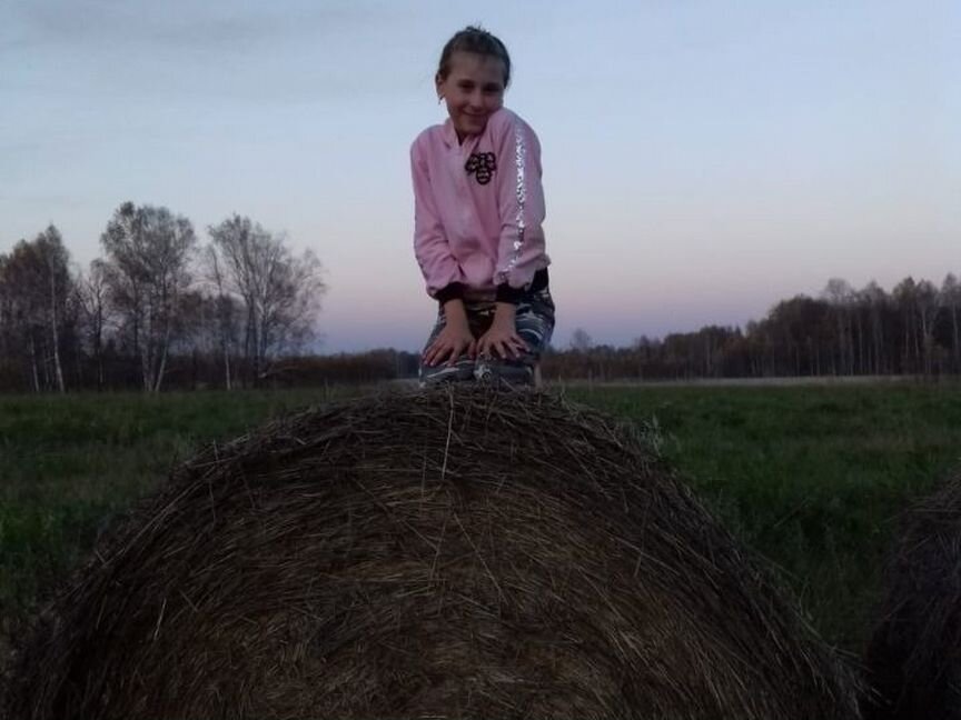 Сено в рулонах