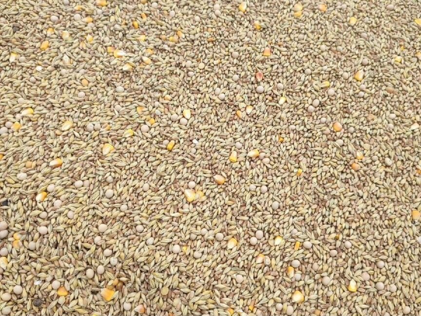 Зерносмесь