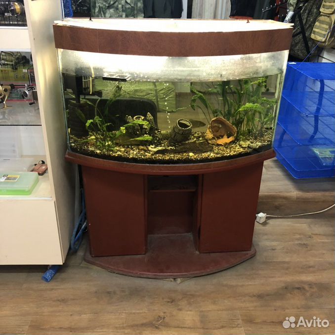 Аквариум 250литров с рыбой