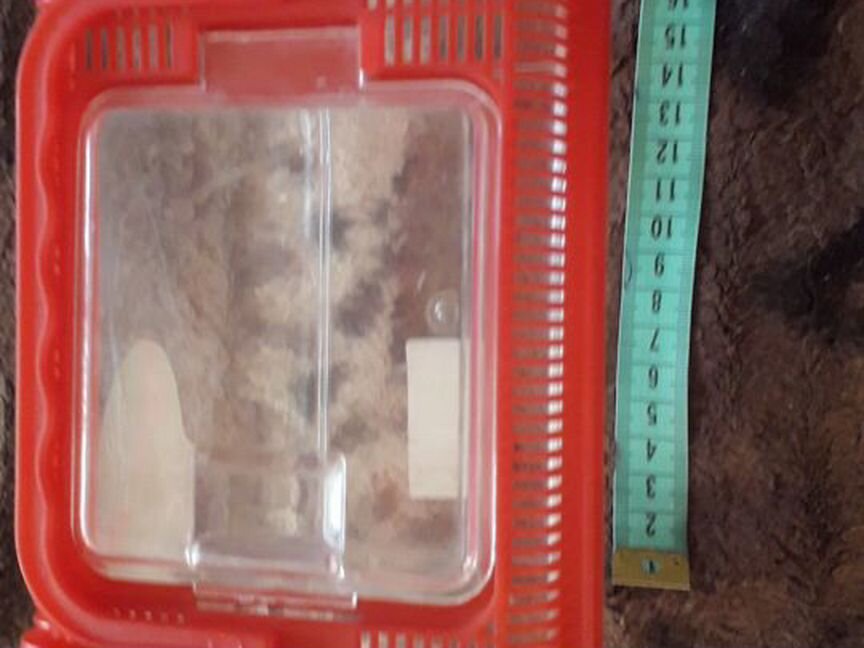 Переноска для животных