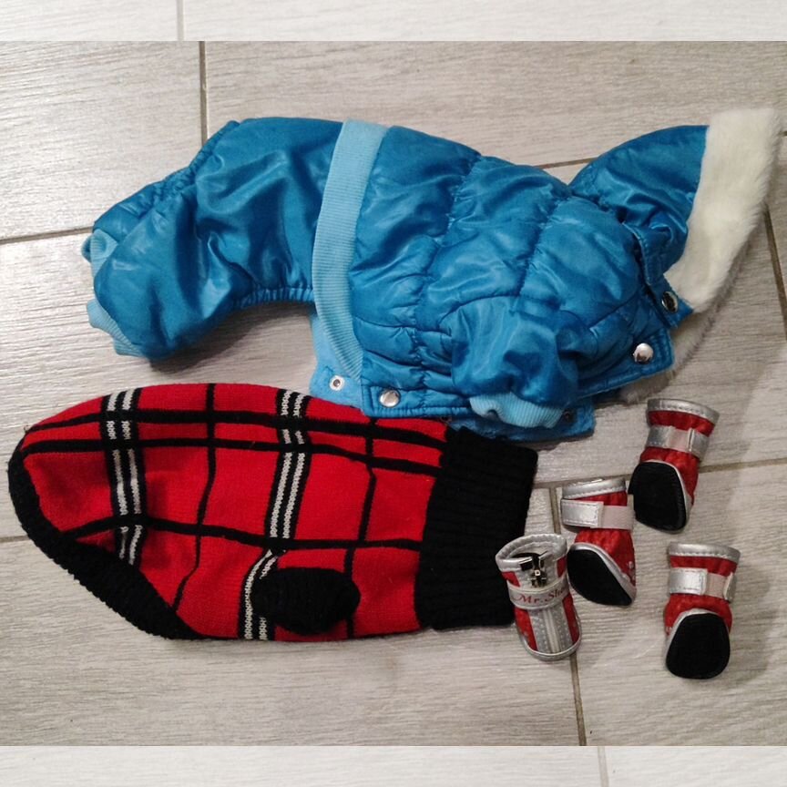 Зимние вещи для маленькой собачки