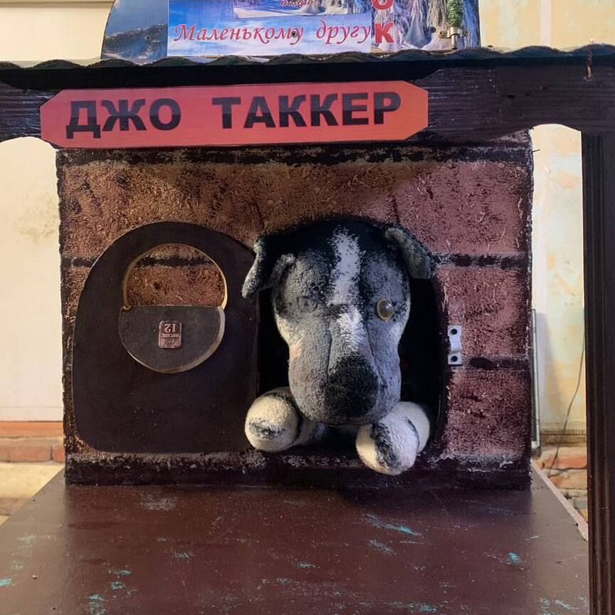 Собачья будка утепленная