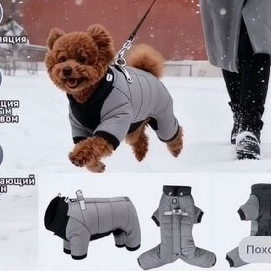 Куртка для собак