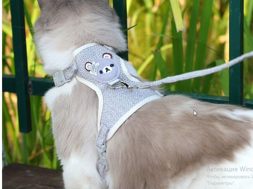 Шлейка для кошек и собак мелких пород, кроликов