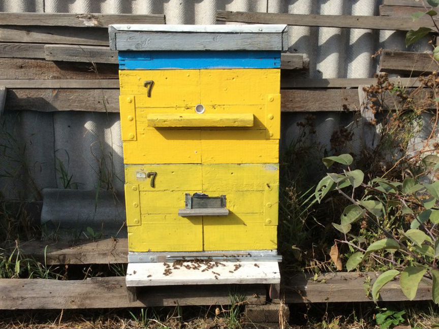 Ульи / рамки (суш)