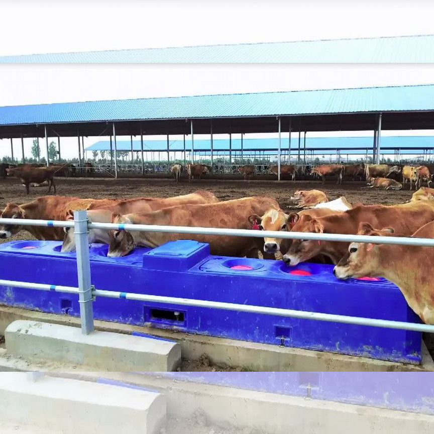 Поилка открытая с подогревом 4 м