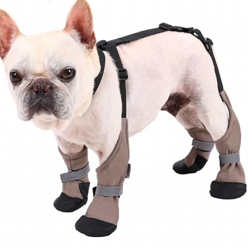 Сапожки для собак на подтяжках