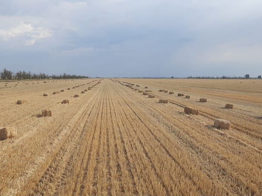 Тюки салома