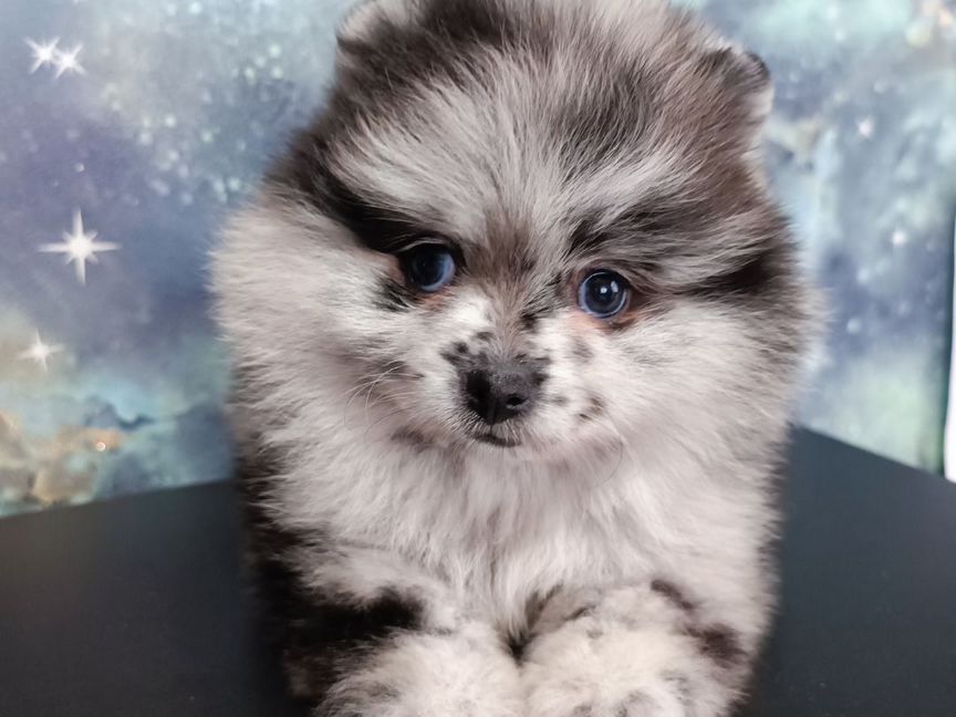 Мраморная принцесса