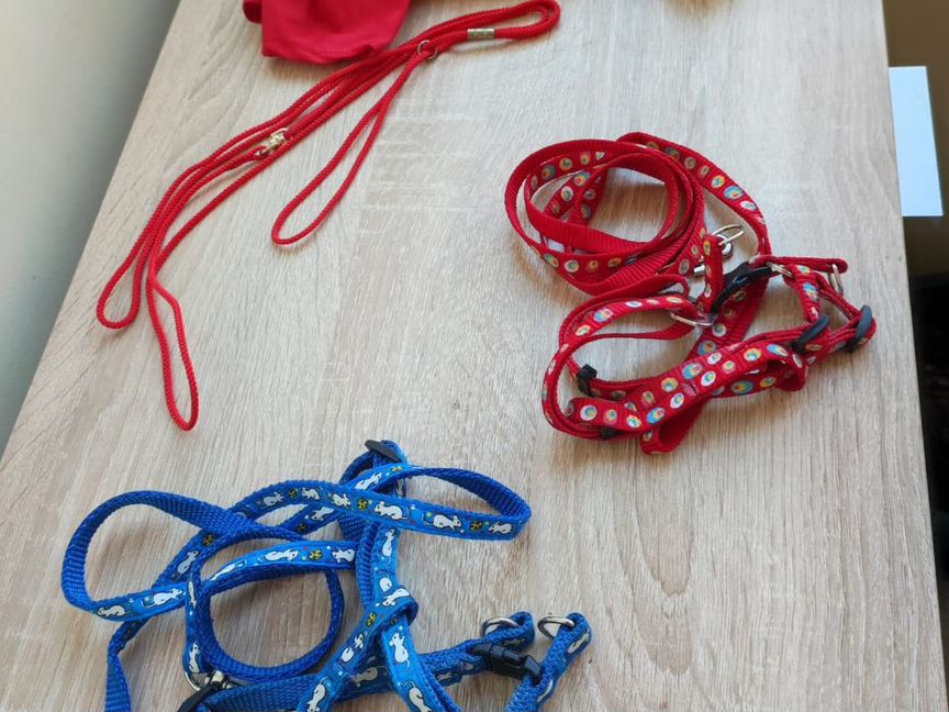 Поводок для мелких собак со шлейкой