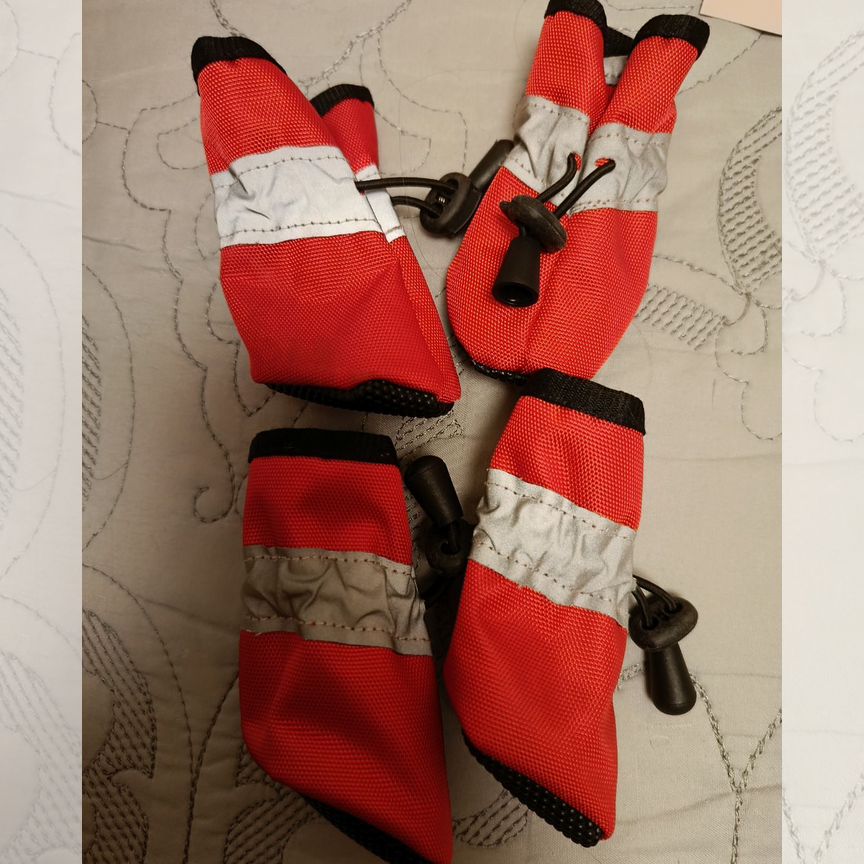 Для маленьких собак обувь