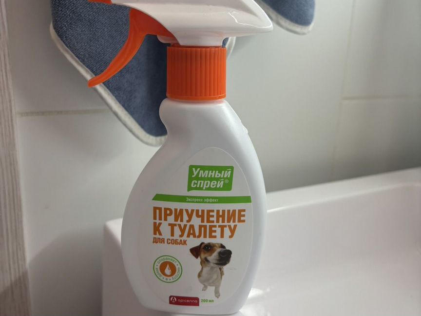 Приучение собак к туалету