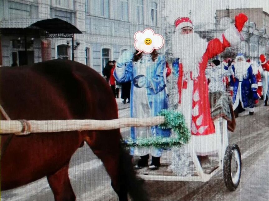 Двуколка для лошади