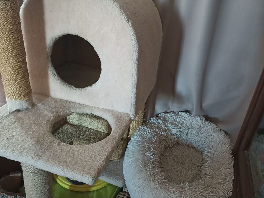 Комплекс для кошки, домик, переноска