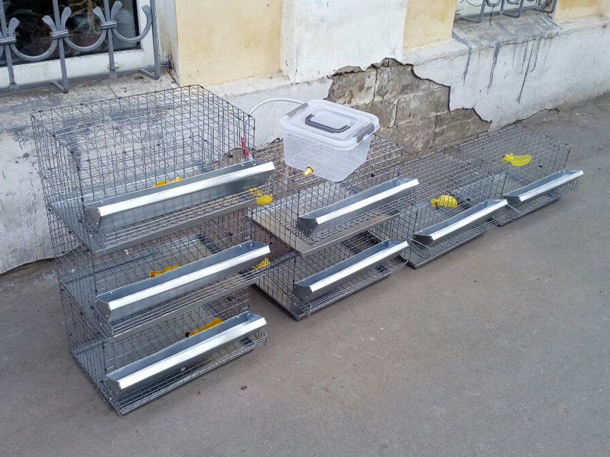 Клетки для перепелов на выбор