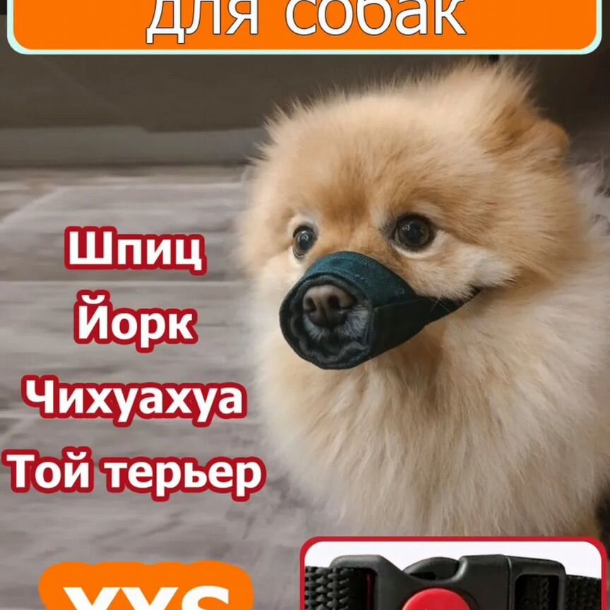 Намордник для маленькой собаки