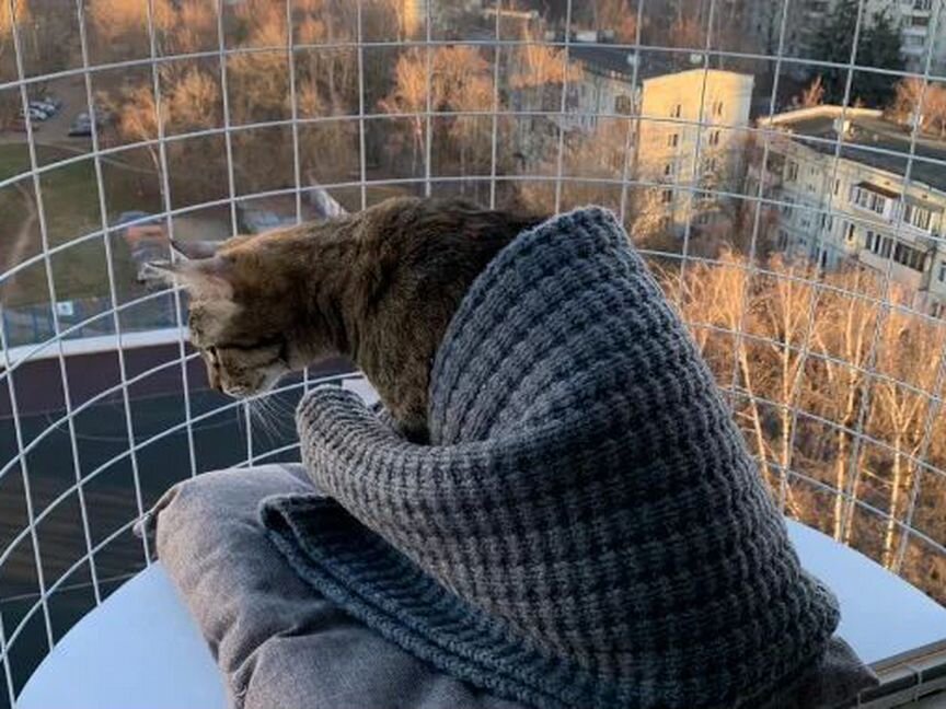 Балкончик для кошек