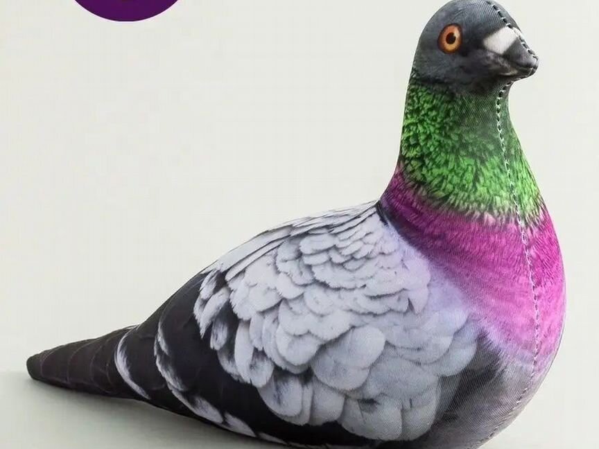 Голубь маруся