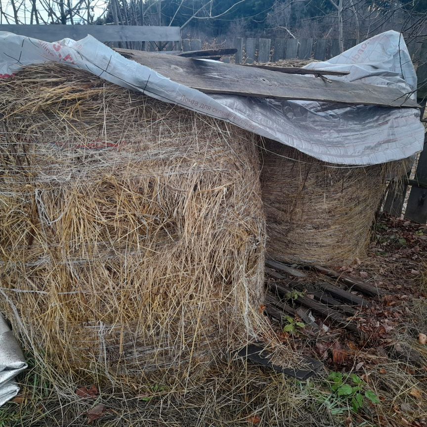 Сено в рулонах и мешках