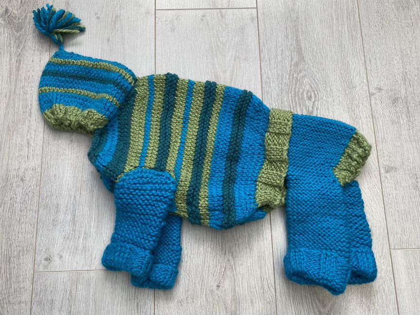 Комбинезон ошейники попона