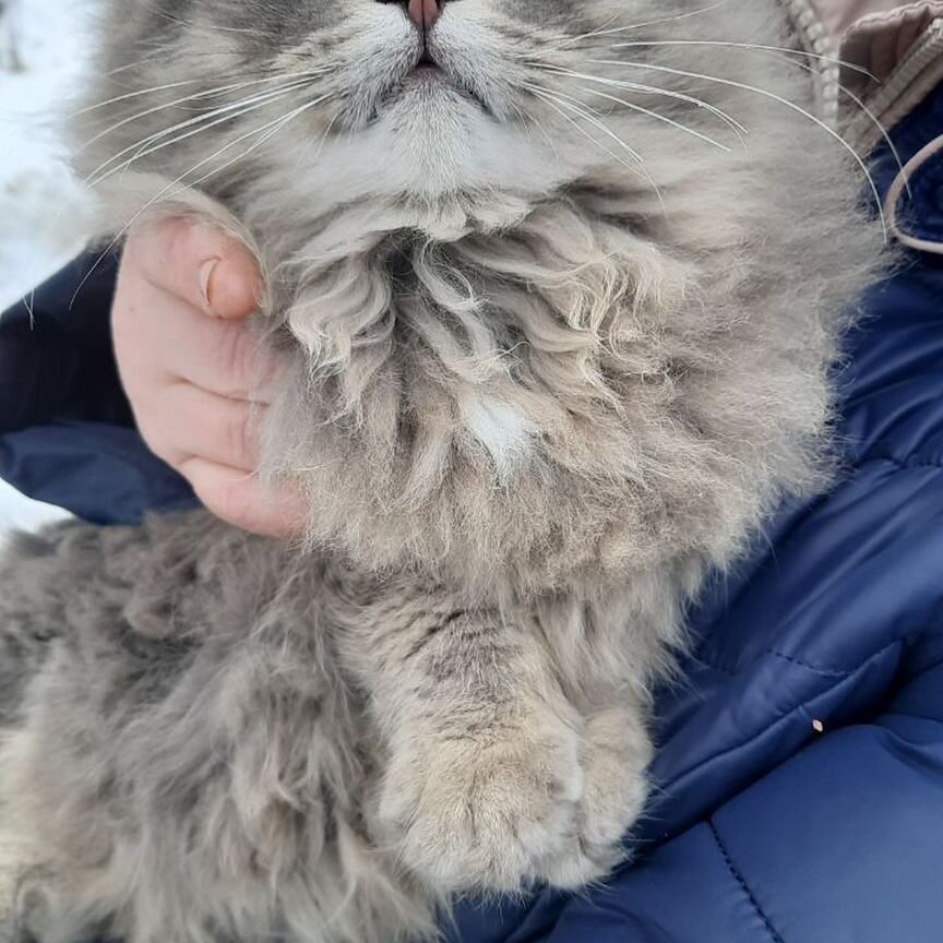 Мальчик 6 мес,умничка ласкуша,поможем с доставкой