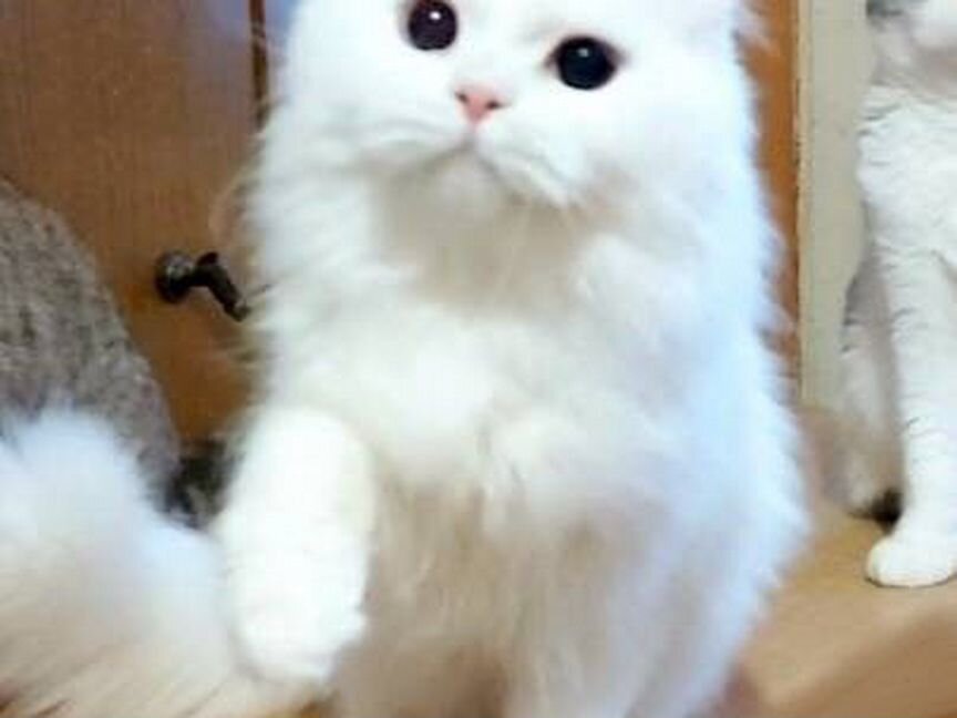 Кубик