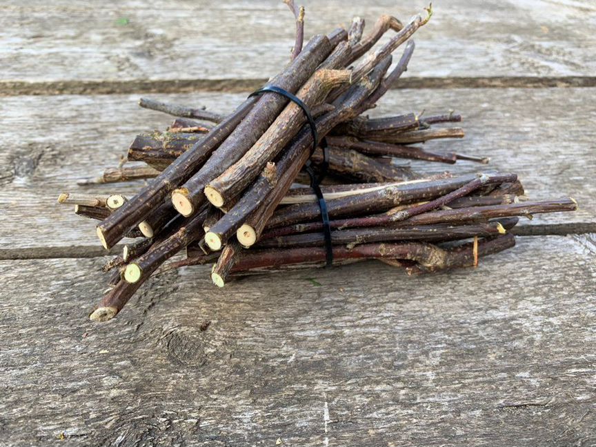 Лакомство для грызунов