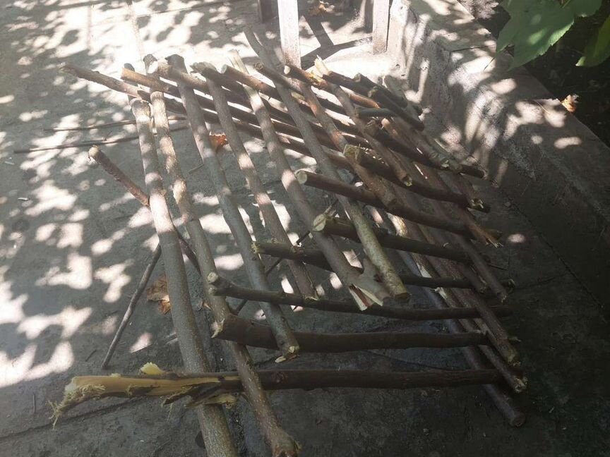 Животоловушка