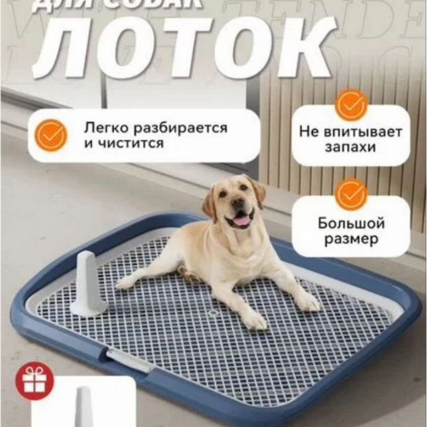 Продам лоток для собак. Размер 64*49*6