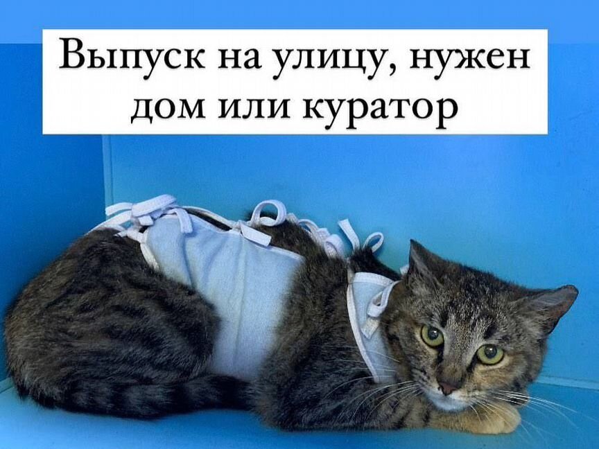 Завтра выпуск на промзону.Шанс стать домашней