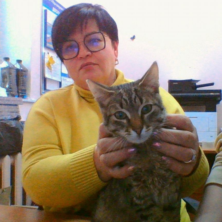 Котята с Матросской тишины