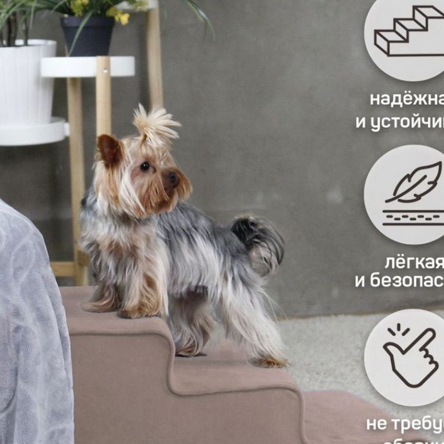 Лесенка для собак