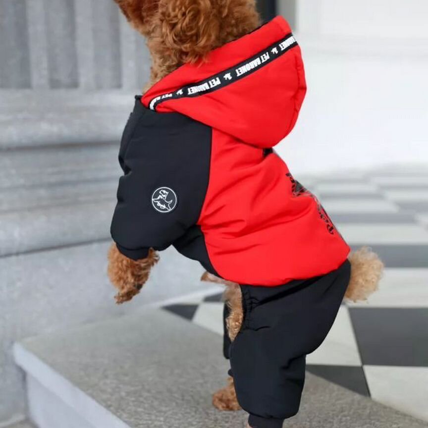 Одежда для собак