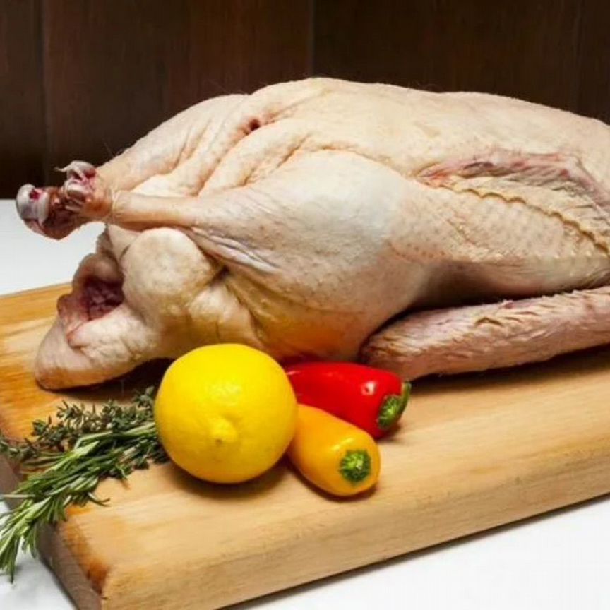 Тушки утки, кролика, гуся, цыплят бройлеров, кур