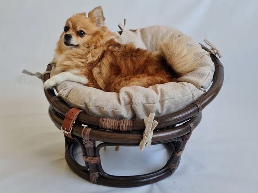 Кресло-кокон для собак и кошек "Папасан"+подушка