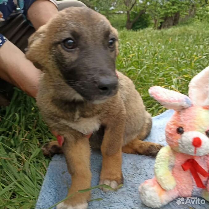 Возьмите меня домой