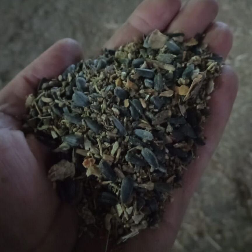 Отходы подсолнечника