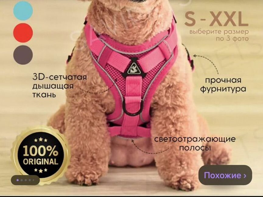 Шлейка для собаки