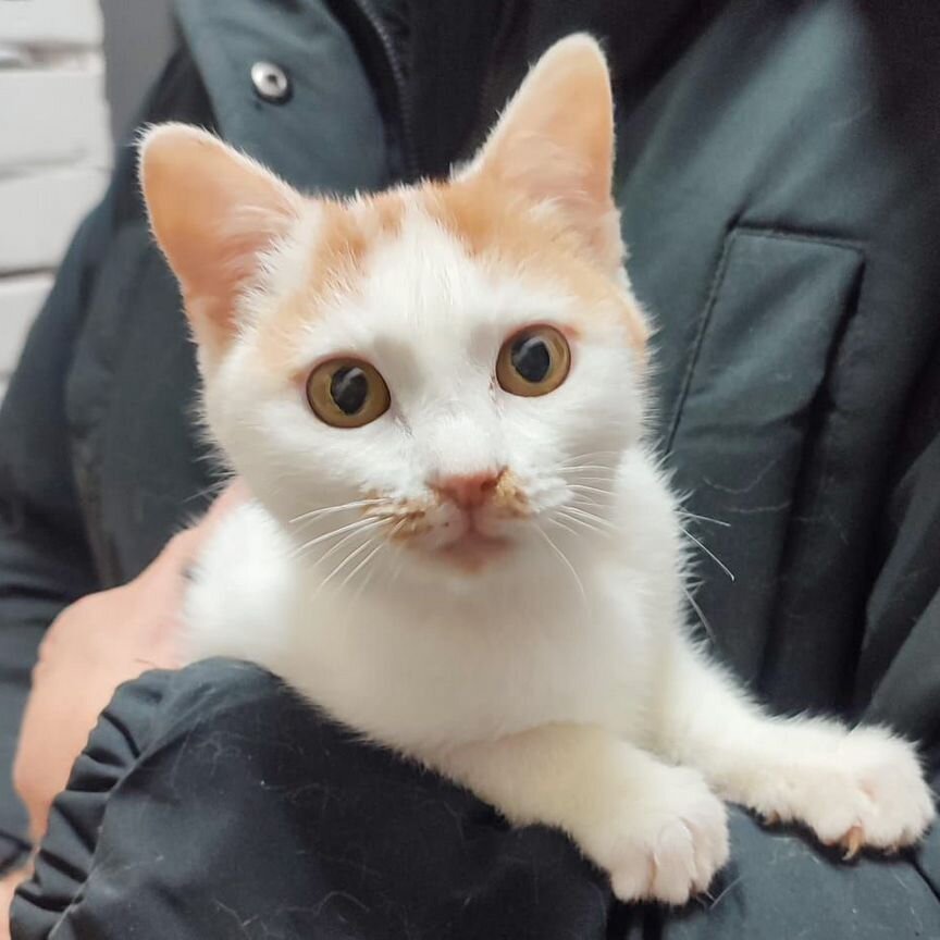 Ульяна, принесёт счастье в Ваш дом