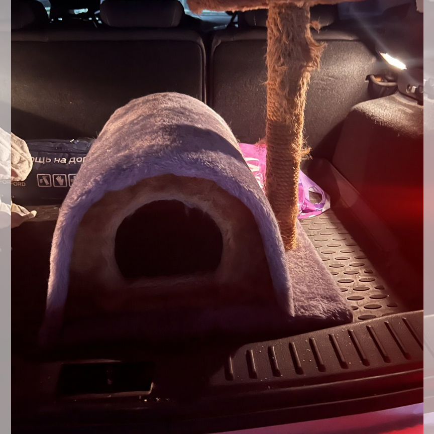 Домик для кошки с когтеточкой бу