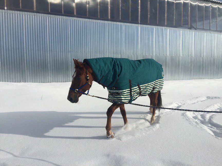 Попона зимняя с капором