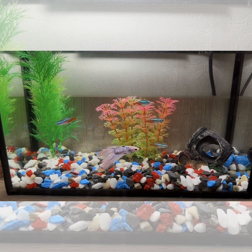 Полный набор для аквариума с крышкой и подсветкой