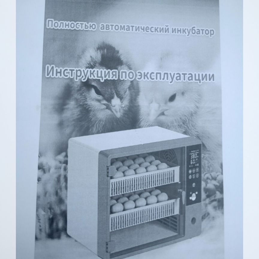Инкубатор для яиц