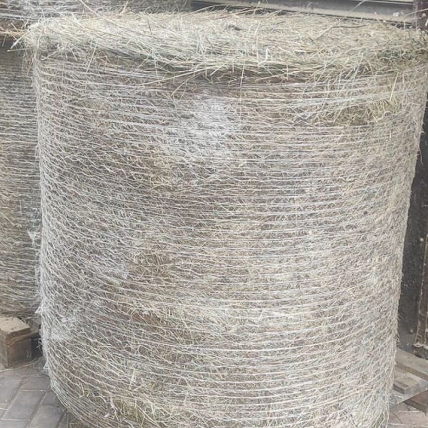 Сено в рулонах