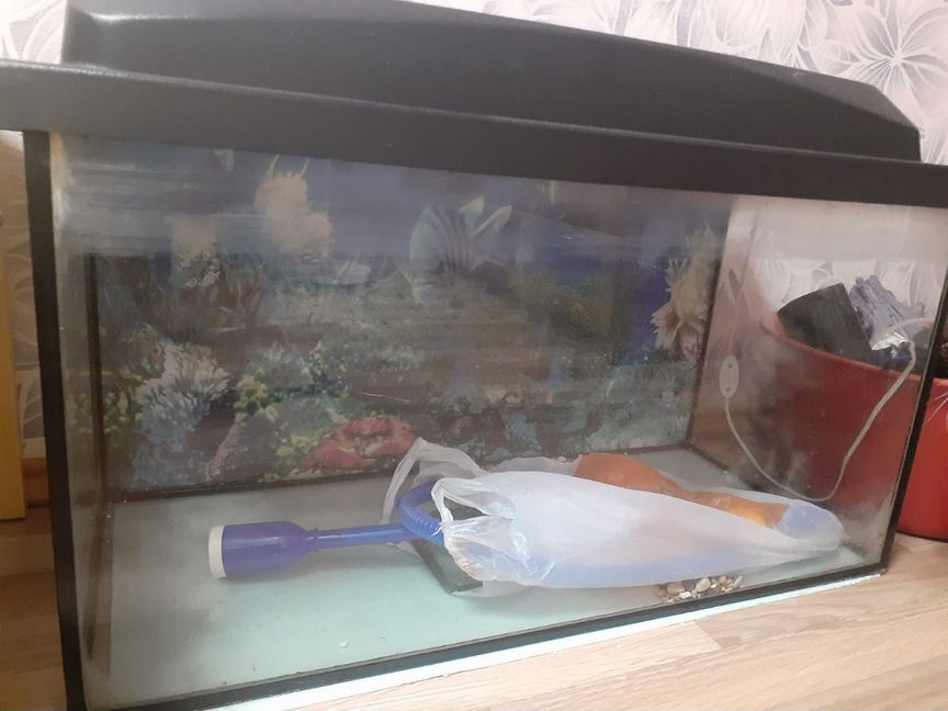 Аквариум 100 литров